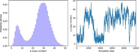 Bimodal Dynamics Of The Self Activating Gene A The Bimodal Copy