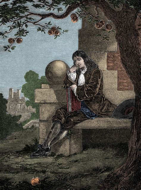 Sir Isaac Newton Apple Tree