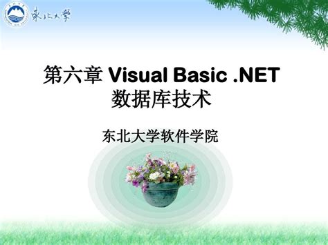 第六章 Visual Basic NET数据库技术 word文档在线阅读与下载 无忧文档