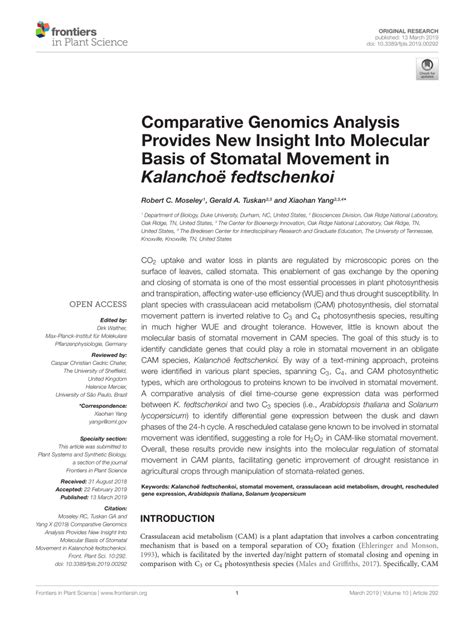 Pdf Comparative Genomics Analysis Provides New Insight Into Molecular