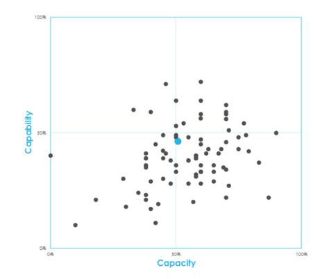 Capability And Capacity Assessment