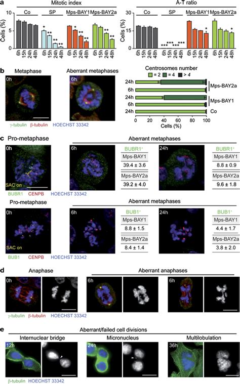 Mitotic Perturbations Induced By Mps1 Inhibitors Ad Human
