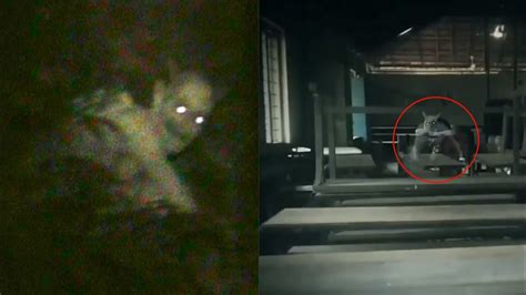 5 Kejadian Nyata Penampakan Hantu Paling Menyeramkan YouTube