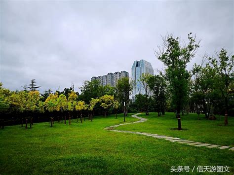 雨後秋晨涼風爽初秋 每日頭條