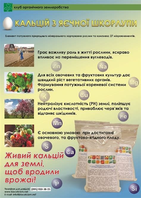 Мука из яичной скорлупы купить у Производителя — ДЕШЕВЛЕ ⏩ Это ...