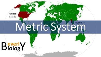 Metric System PowerPoint Free Handout Worksheet Included By Beverly Biology
