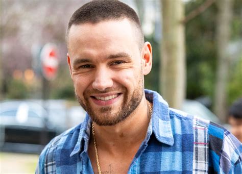 Cui rămâne averea lui Liam Payne