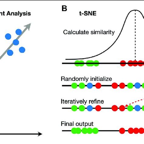 Current Experimental Methods For Spatial Transcriptomic Profiling Download Scientific Diagram