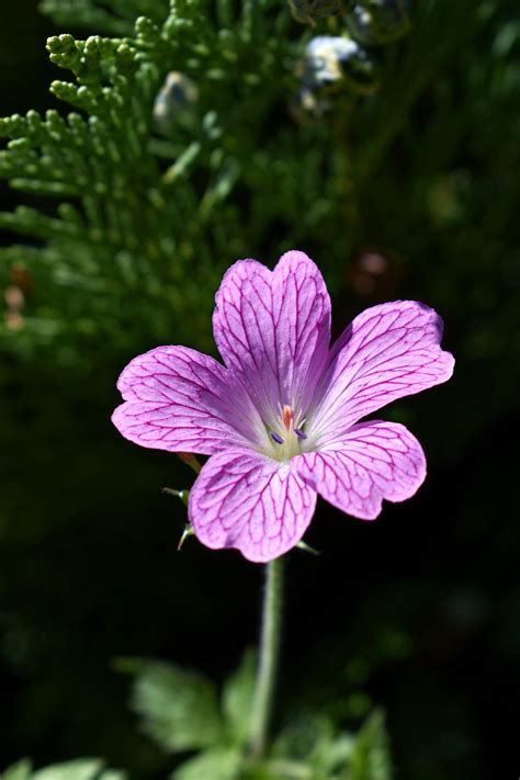 Prisma Issue 5 By Prisma Photography Magazine Issuu