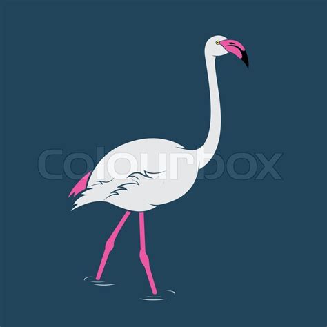 Vektor Bild Ein Flamingo Stock Vektor Colourbox