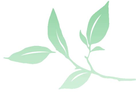 持续深化拓展“三争”行动丨大田：“茶 N”科技赋能茶产业多元化发展