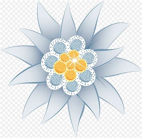 Png Png Ylagolrq