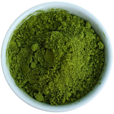 The Leaf Protein Company