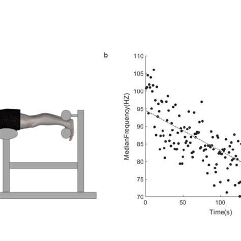 A Testing Position For The Biering Sørensen Test B Representative