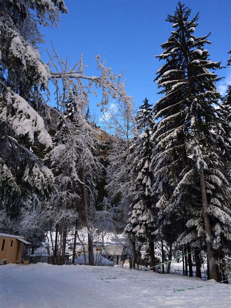 Pin By Lorraine Wilson On Secret Crush Of A Chalet Girl Chalet Girl