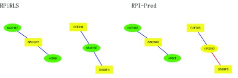 Comparison Of The Long Non Coding Rna Protein Interaction Networks Download Scientific Diagram