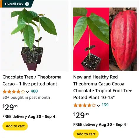 Plant Faqs Cacao Tree Theobroma Cacao
