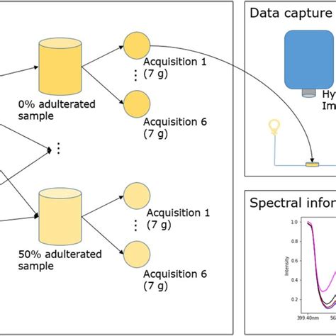 Overall Makeup Of The Adulterated Honey Data Set From Each Brand And Download Scientific