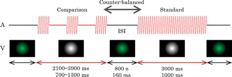 Time Course Of Experiment 4 Both Auditory A And Visual V Stimuli Download Scientific