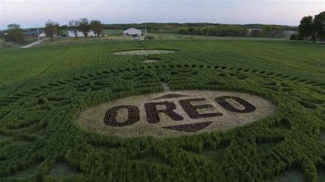 Alien Crop Circle Response