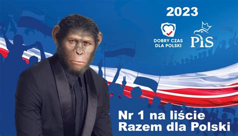 Okiem Tomka Wiejskiego On Twitter Nowi Kandydaci PiS W Wyborach