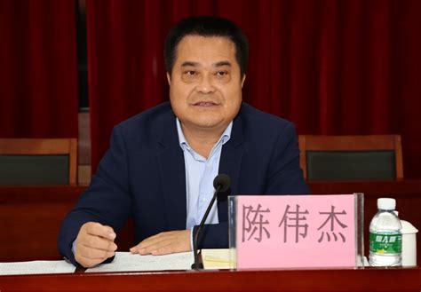 靠地吃地、与民争利，如今这名原副市长被开除党籍和公职陈伟杰湛江广东省