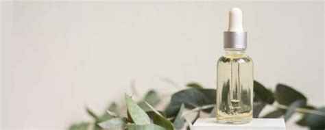 ¿para Qué Sirve El Aceite Esencial De Eucalipto Blog Druni