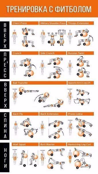 Отличная тренировка с фитболом чтобы прокачать все тело 👊 Excercise Ball Workout Excercise