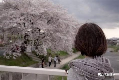 龙应台语录 开学之际一起共勉安德烈