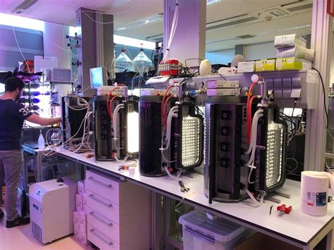 Algae Flatpanel Fermentation Luminostat Marc Buevink