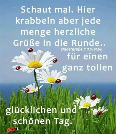Guten Morgen whatsapp bilder GBPicsBilder Schönen tag Liebe