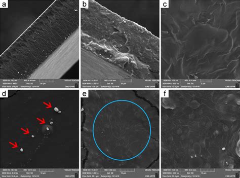 Micrographs From The Surface And The Cross Section Of The Films A