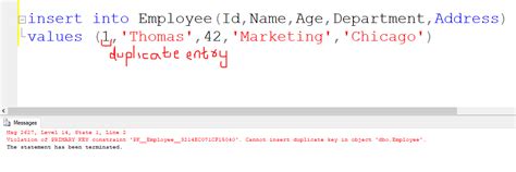 Primary Key Violation Explained With Composite Key