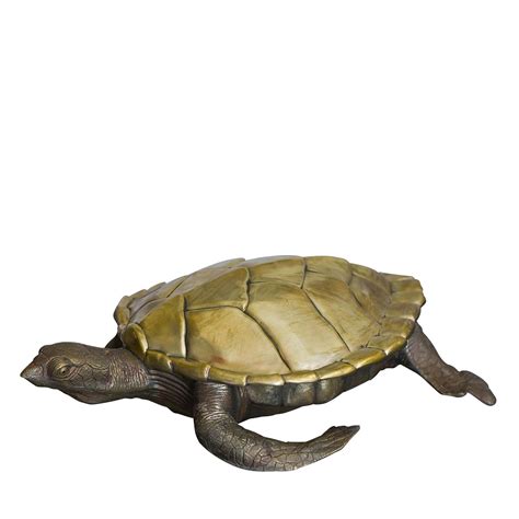 Turtle Brass Box Molto Collectibles Artemest