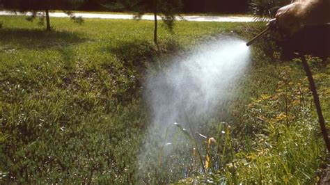 Role Of Pyrethroid Derivatives In Autophagy And Potential Risk For Malignancies