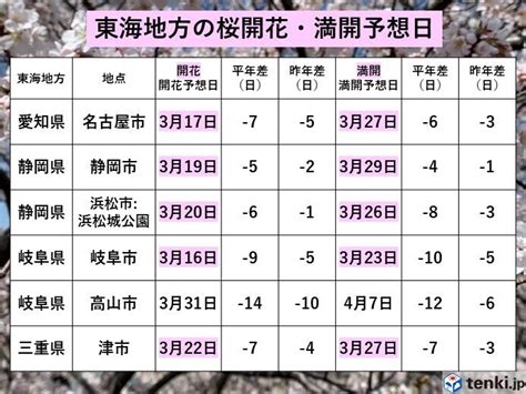東海地方 土日はお花見日和も ヒノキ花粉の大量飛散続く 来週後半は花散らしの雨（2023年3月31日）｜biglobeニュース