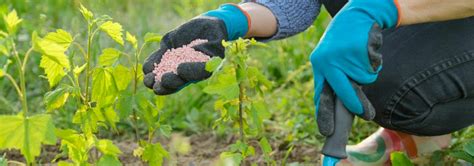 Engrais azoté pour agriculture commande en ligne