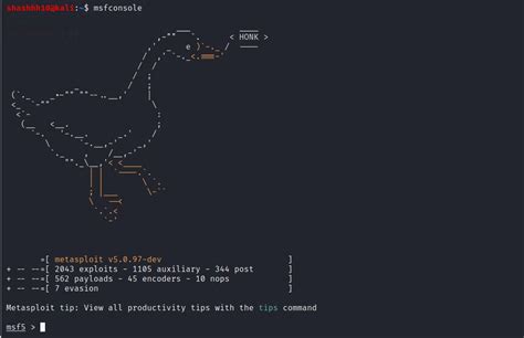 What Is The Metasploit Framework And How Is It Used HealthyByte Bridge That Gap