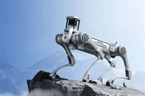Rugged Quadruped Robots Quadruped Robot