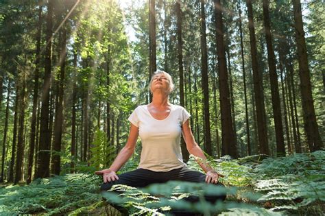 What Is Forest Bathing 6 Key Health Benefits