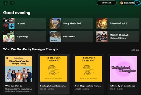 2024 Guide On How To Change Spotify Username