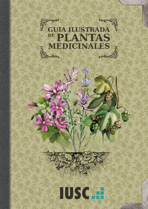 Guia Ilustrada De Plantas Medicinales Free Version By Iusc Centro De
