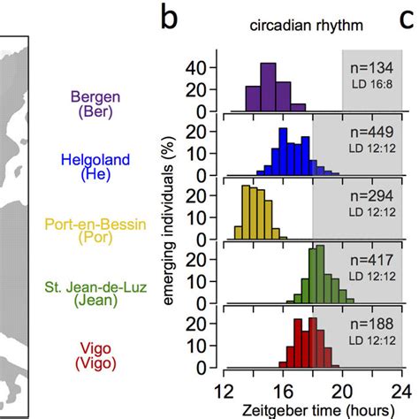 Comparison Of The C Marinus Genome Assembly With Published Model