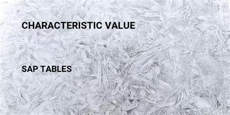 Characteristic Value Table In Sap