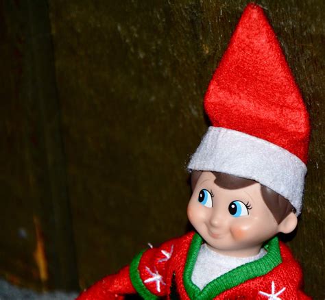 My Retiring Life We Elves Try To Stick To The Four Main Food Groups