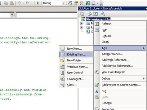 Adding Assembly In To Gac Progrmmatically A Place For C Sharpersnetters