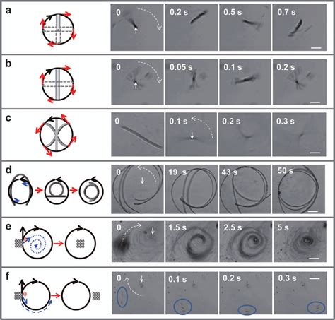 Hydrodynamic Micro Motor For Rotationspinmanipulation Of Download Scientific Diagram
