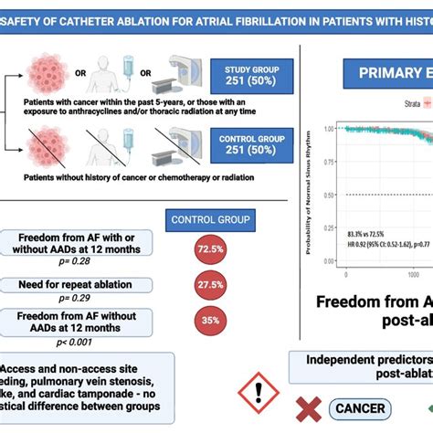 Efficacy And Safety Of Catheter Ablation For Atrial Fibrillation In Download Scientific Diagram