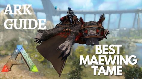 Ark Guide Best Maewing Tame No Trap Youtube