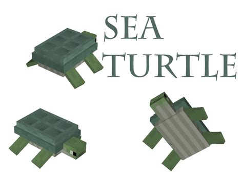 Minecraft Mob Sea Turtle By Marcus123474 On Deviantart